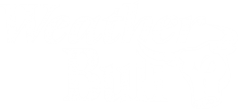 Weather Bull-Louvered | Shutter Revolution